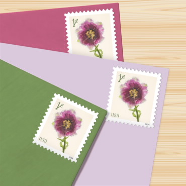 Fringed Tulip Stamps | USPS.com