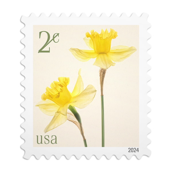 Daffodils Stamps | USPS.com