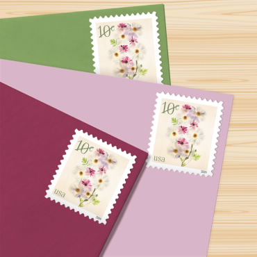 Poppies and Coneflowers Stamps | USPS.com