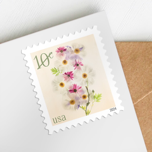 Poppies and Coneflowers Stamps | USPS.com