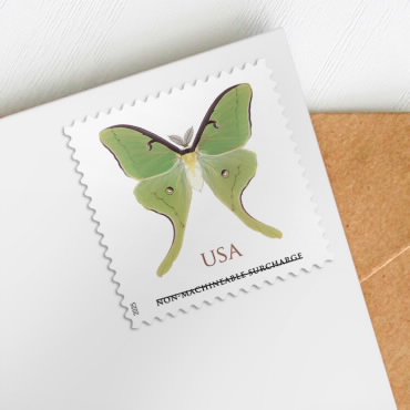 News: Luna Moth Stamps - TouchStamps