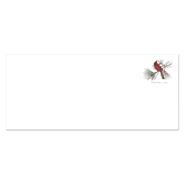 Northern Cardinal Forever #10 Stamped Envelopes (PSA) | USPS.com