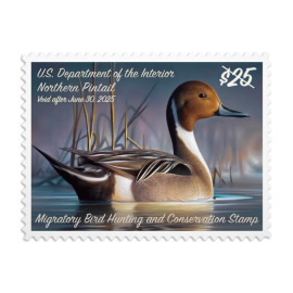Collector's Zone | Federal Duck Stamps | USPS.com