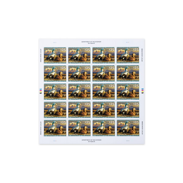 Spectacled Eiders 2025-2026 Federal Duck Stamps | USPS.com