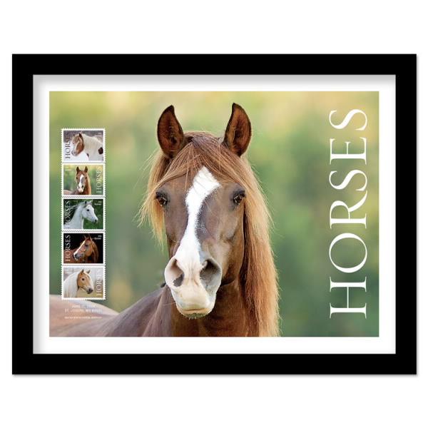 Horses Framed Stamps, Chestnut | USPS.com