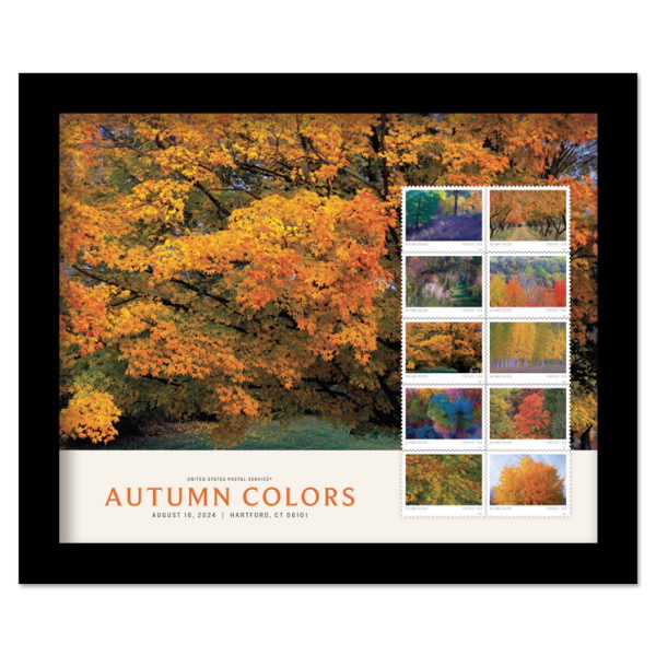 Autumn Colors Framed Stamps | USPS.com