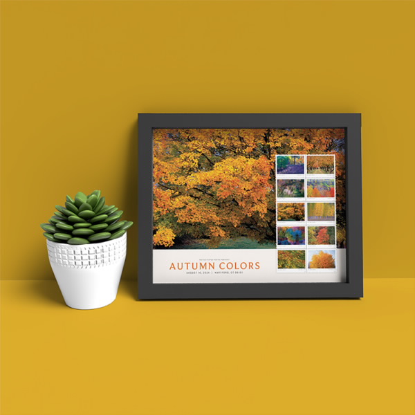 Autumn Colors Framed Stamps | USPS.com
