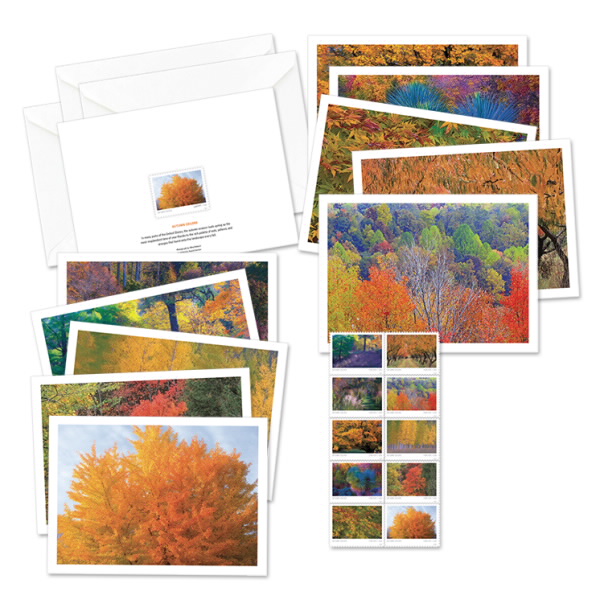 Autumn Colors Notecards | USPS.com