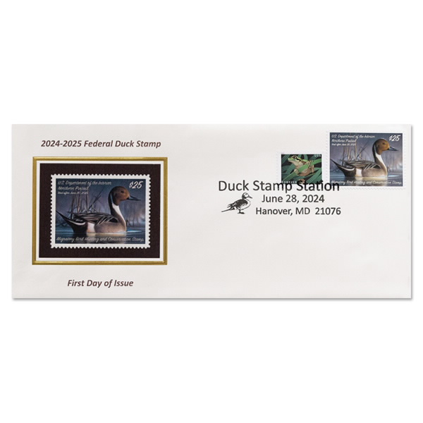 Northern Pintail 2024-2025 Silk Cachet | USPS.com
