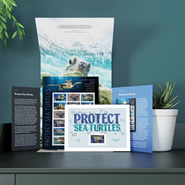 Protect Sea Turtles Stamp Portfolio | USPS.com