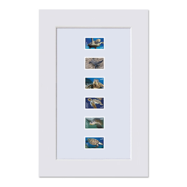 Protect Sea Turtles Matted Stamps | USPS.com