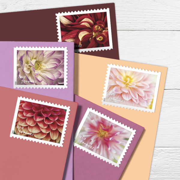 Dahlias Stamps | USPS.com