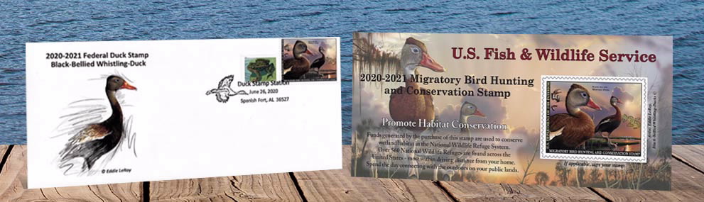 Stamps, Mailing Supplies & Collectibles | USPS