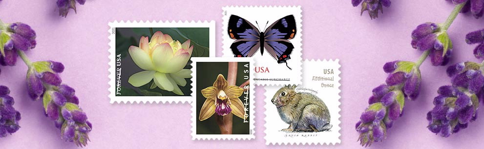Stamps, Mailing Supplies & Collectibles | USPS